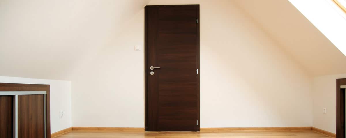 Loft Style Interior Doors 🏠 Doors & More Collection in New York